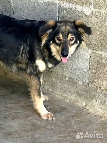 Золли шикарная скромница