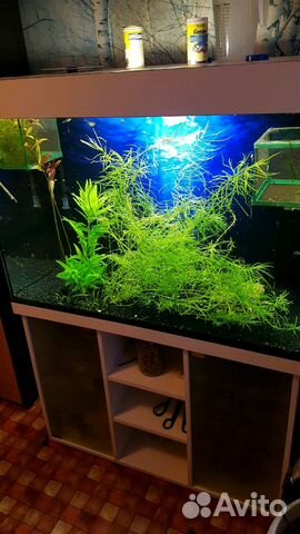 Аквариумный комплекс 350л (аквариум + тумба)