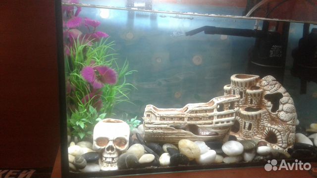 Аквариум с рыбками