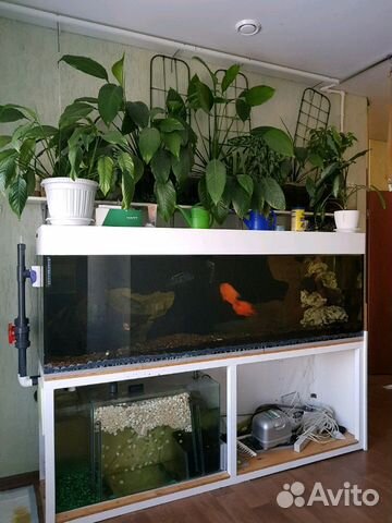 Аквариум 540л
