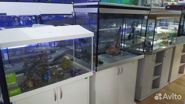 Аквариумы и террариумы 10-1000л