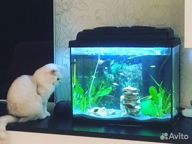 Продаётся аквариум