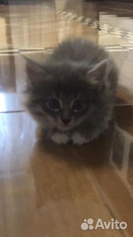 Малыши хотят дарить Вам свою любовь