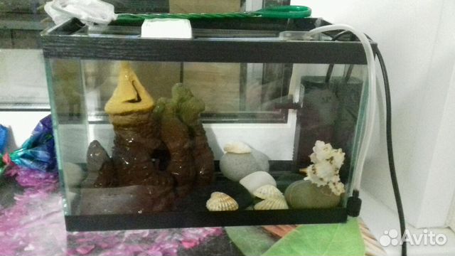 Аквариум