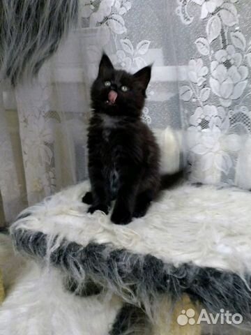 Озорные девчули