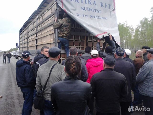 Продажа пчелопакетов из Украины