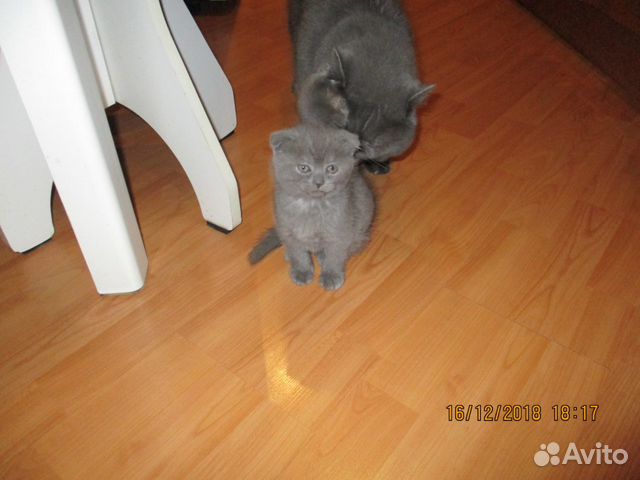 Вязка