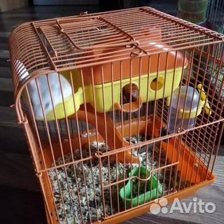 Отдам хомяка