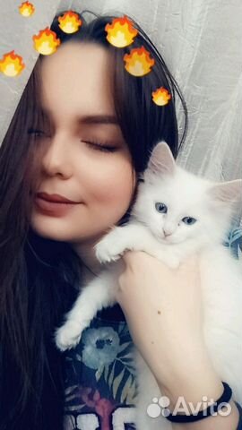 Длинношерстный малыш