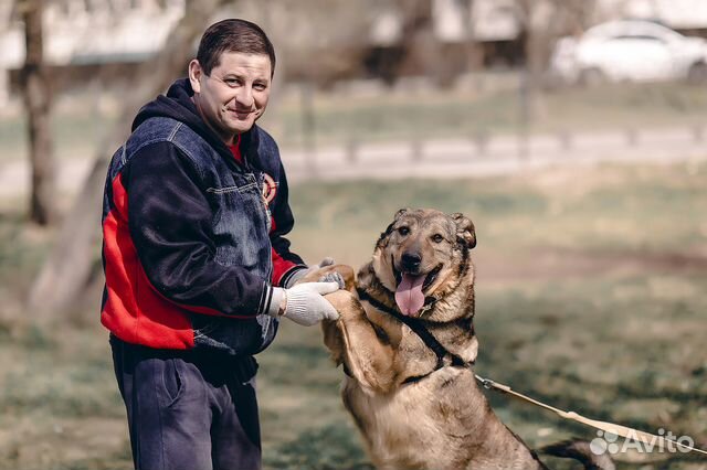 Пальма ищет дом