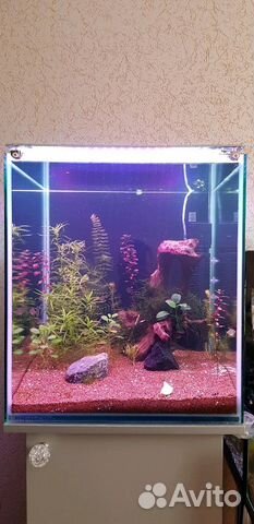 Аквариум