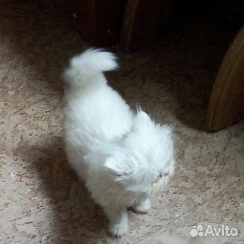 Мальчик персик