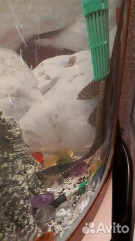 Аквариум jebo R790,с насосом jebo809