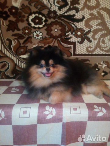 Мальчик красавчик