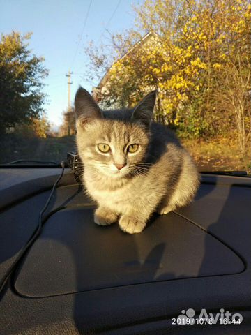 Красотка Серя