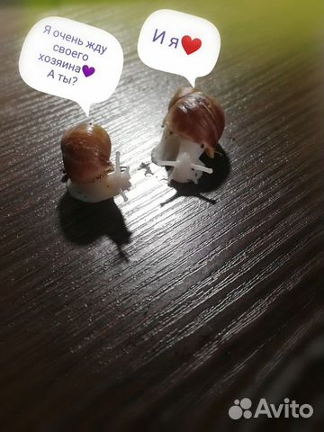 Продаю белую улиточку (архахатина)