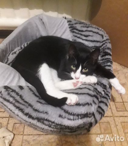 Маруся,4 месяца