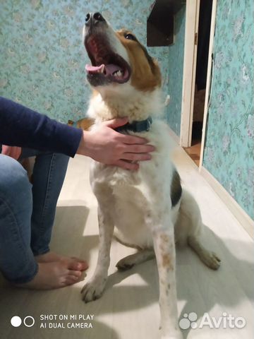 Замечательный Джеймс