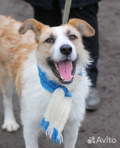 Большой и добрый Семен