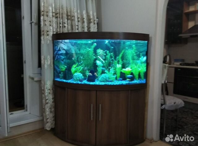 Продаю комплект аквариум Juwel Trigon 350 л