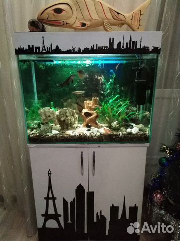 Аквариум с рыбками