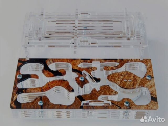 Муравьиная ферма мини