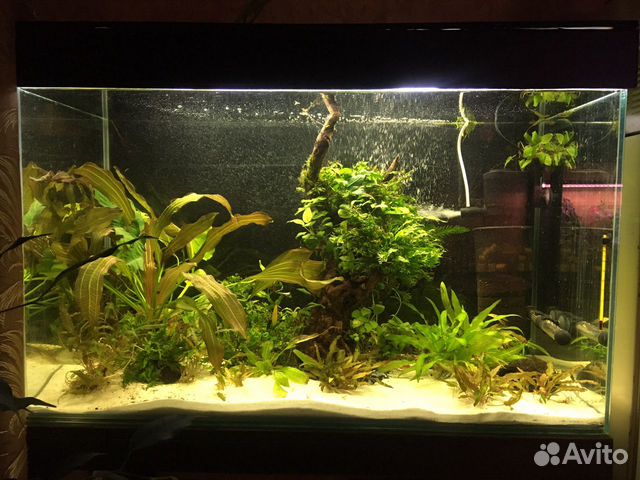 Аквариум 220л