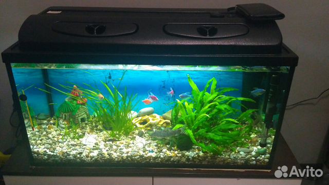 Аквариум 120 литров