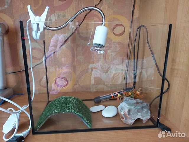 Аквариум и всё необходимое для черепашки