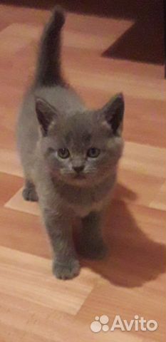 Британская