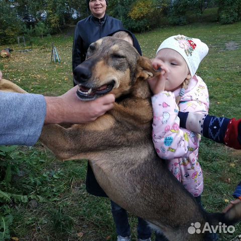 Щенок девочка 9 месяцев