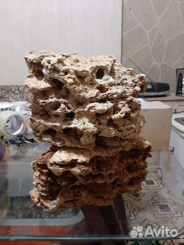 Камни для цихлид