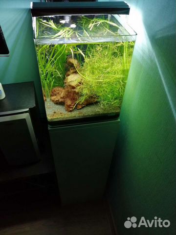 Аквариум Denerle 30литров полный комплект