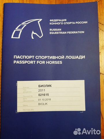 Жеребец 8 лет в производители