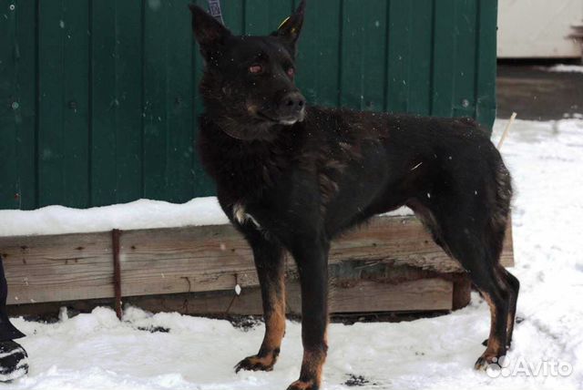 Красавица Ронда ищет дом