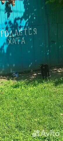 Ищу сообщника для доброго дела