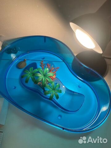 Отдам водяную черепашку