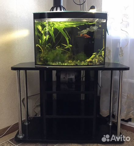 Аквариум 50 л,тумба,фильт-компресор,корабль