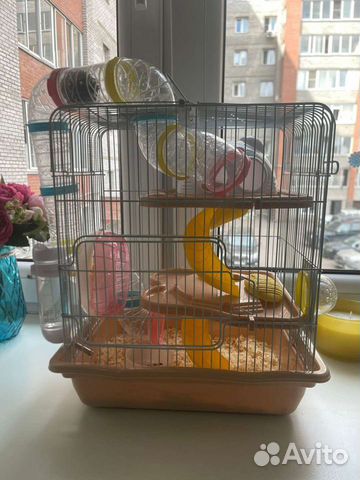 Сирийский хомяк с клеткой