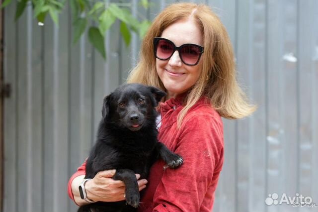 Отдаю песика Чака в дар