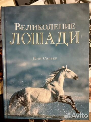 Великолепные лошади. Дин Сервер