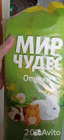 Отдам даром дегу