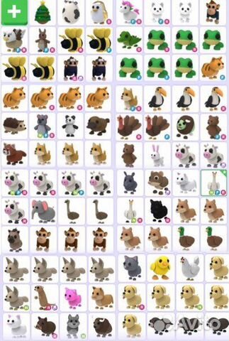 Петы адопт ми