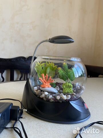 Настольный аквариум