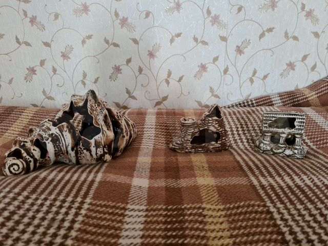 Аксессуары для аквариума, растения для аквариума