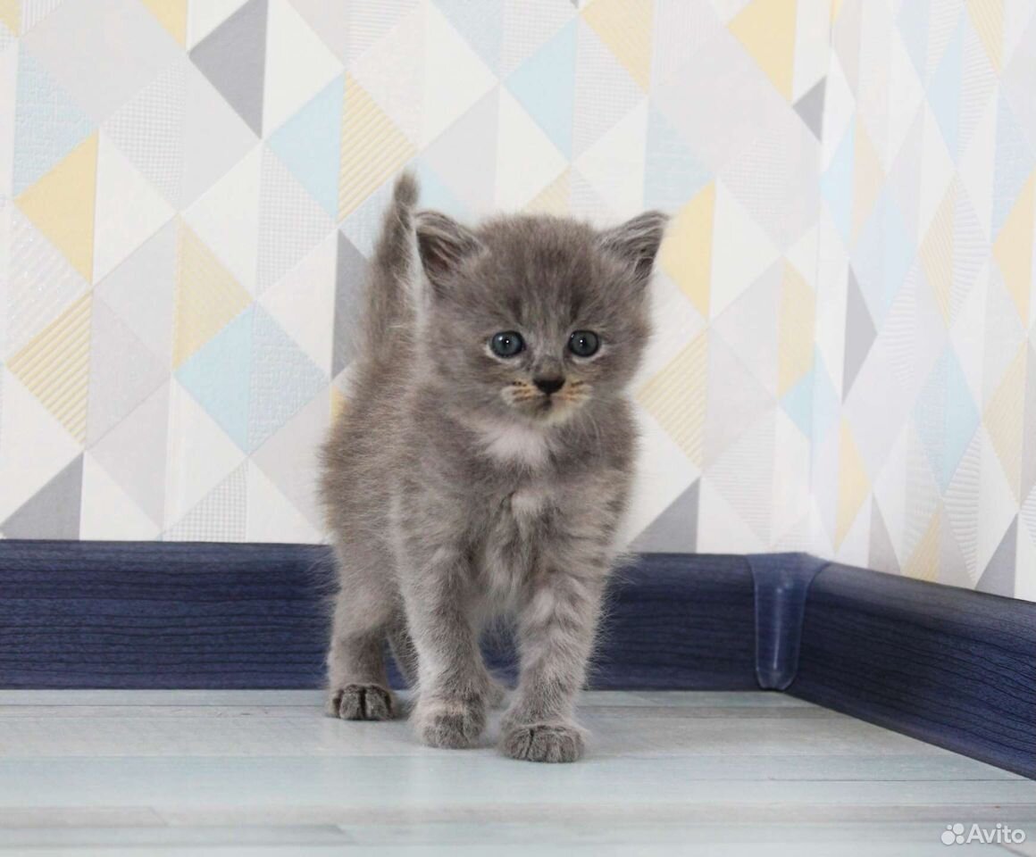 Малыши-карандаши, 1,5 мес