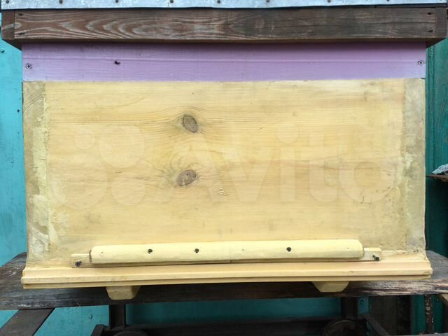 Пчелосемьи с ульями